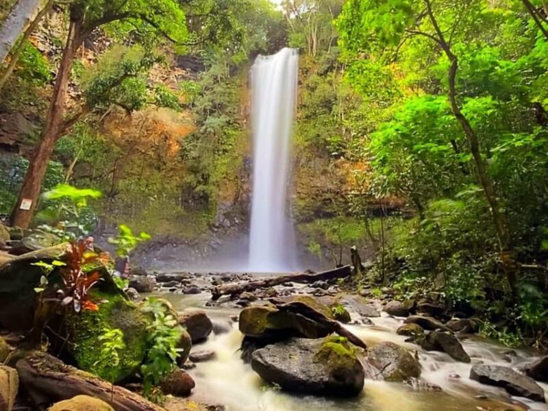 Kauai: Guided Kayak and Hike to Secret Falls - FAQs