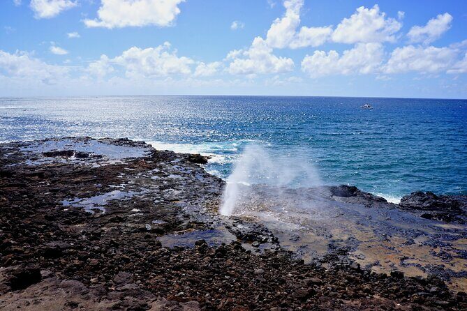Kauai Highlights Full Day Tour with Waikiki Pickup - Who Should Consider This Tour?