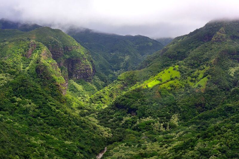 Kauai: Highlights & Movie Sites - Exploring the Kauai Highlights & Movie Sites Tour: The Details