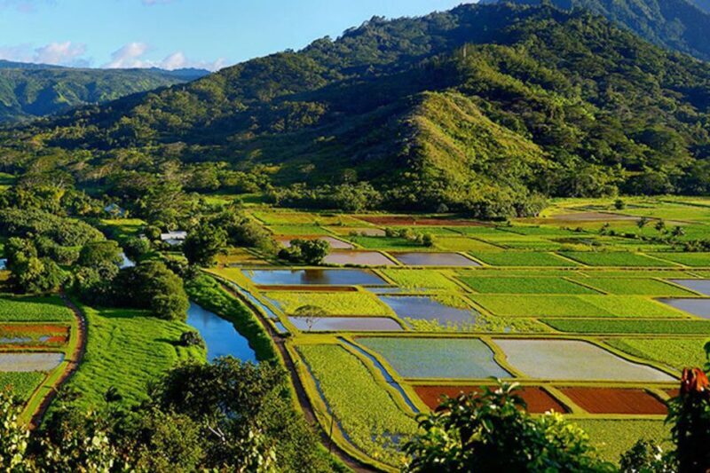 Kauai: Highlights & Movie Sites - Key Points