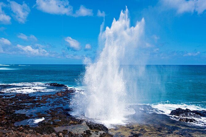 Kauai Highlights Small Group Tour -A journey to the Canyon & more - An In-Depth Look at the Tour Experience
