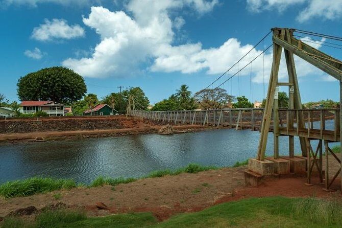 Kauai Highlights Small Group Tour -A journey to the Canyon & more - Who Will Love This Tour?