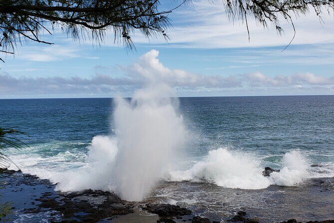 Kauai Island Day Trip from Oahu with Airfare Included - An Adventure in a Day: The Itinerary Breakdown