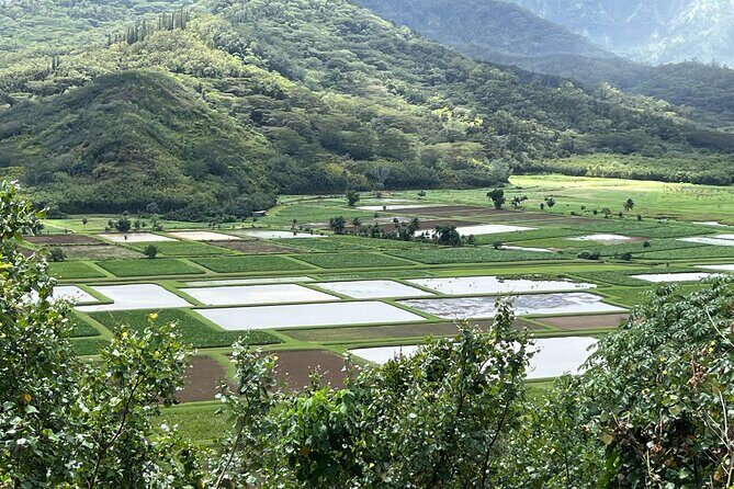 Kauai Island Private Guided Movie Tour from Lihue - Final Thoughts