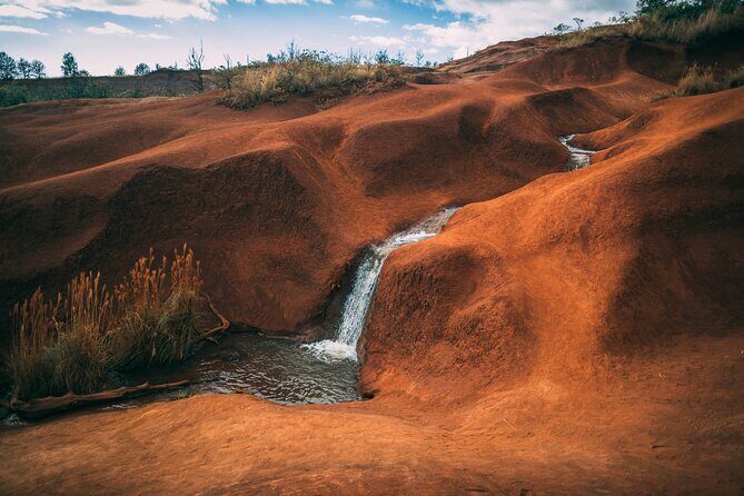 Kauai Island Private Guided Tour-Waimea Canyon from Lihue/Kapaa - The Sum Up