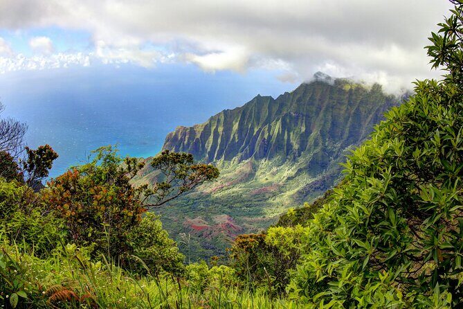 Kauai Island Private Guided Tour-Waimea Canyon from Poipu/Koloa - Why You’ll Love This Tour