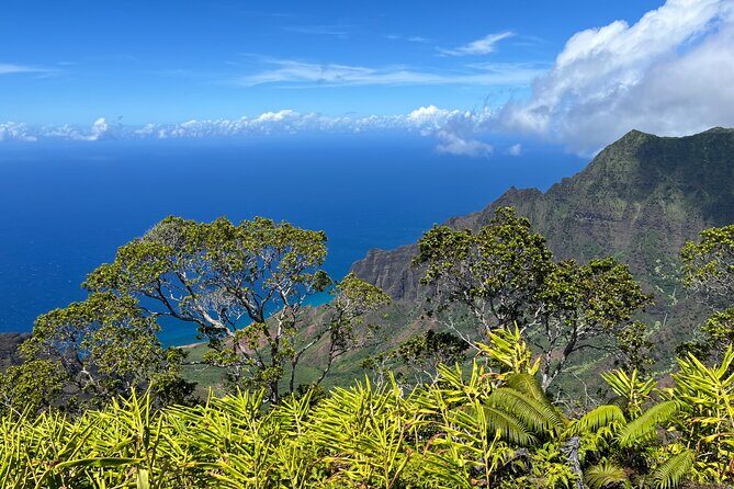 Kauai Island Private Guided Tour-Waimea Canyon from Poipu/Koloa - What’s Included—and What’s Not