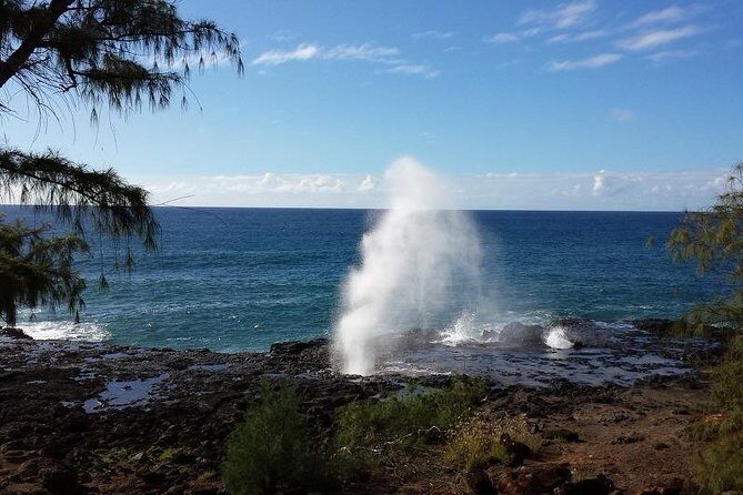 Kauai Island - Private Tour : Waimea Canyon and Southside - Exploring Kauai’s South Shore: A Deep Dive