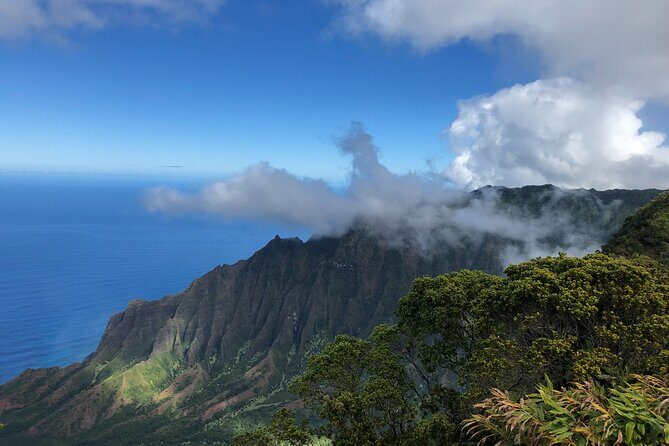 Kauai Island Tour : Journey to Waimea Canyon & More Highlights - Detailed Review: Navigating Kauai’s Natural Beauty and Cultural Roots