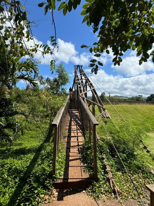 Kauai - Journey to Waimea Canyon, Spouting Horn & More - Deep Dive into the Experience