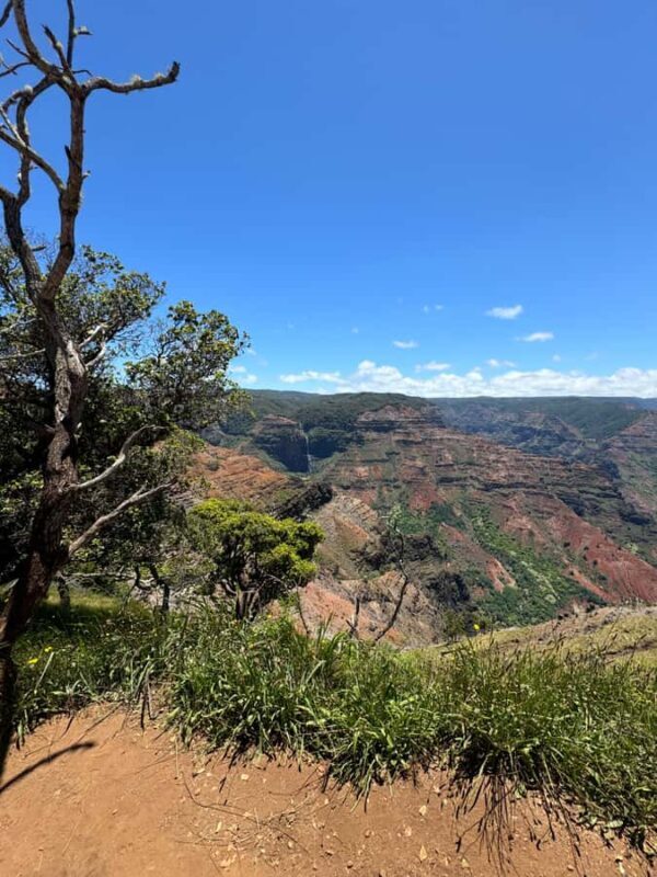 Kauai - Journey to Waimea Canyon, Spouting Horn & More - Final Thoughts: Who is This Tour Best For?