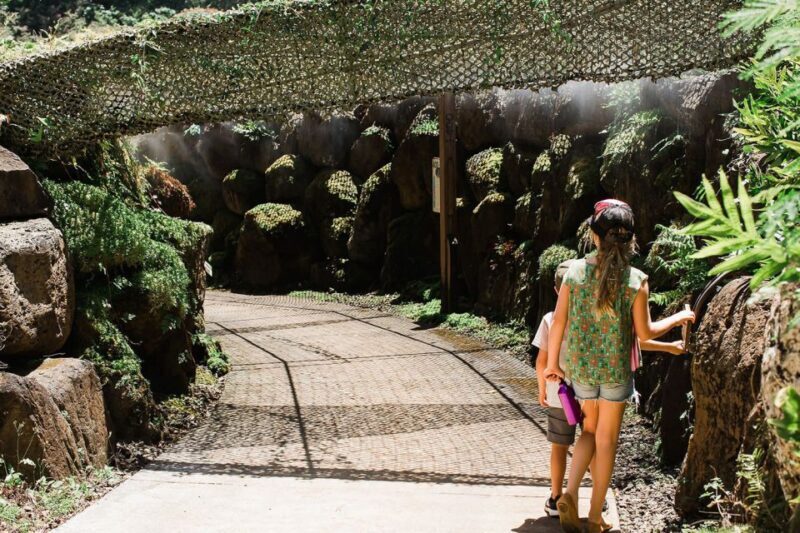 Kauai: McBryde Garden Self Guided Visit - Key Points