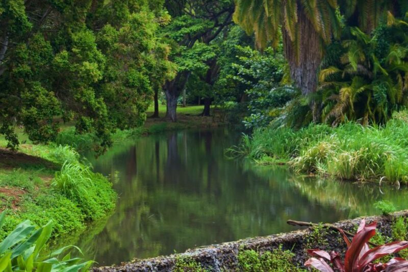 Kauai: McBryde Garden Self Guided Visit - The Value and Practical Aspects