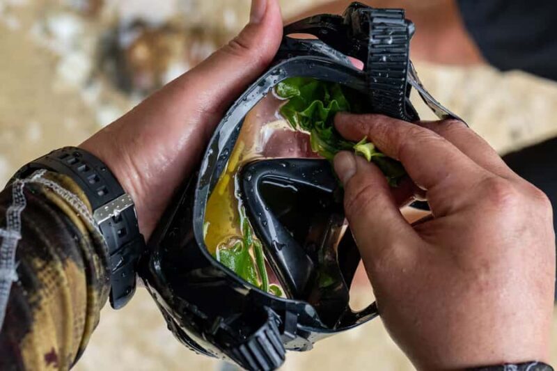 Kauai: Mlama Kai Snorkeling Adventure & Reef Cleanup - What Is the Mlama Kai Snorkeling Adventure?