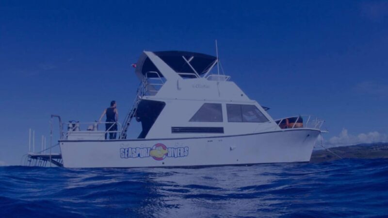Kauai: Morning 2 Tank Boat Dive for Experienced Divers - Practical Tips: Making the Most of Your Dive