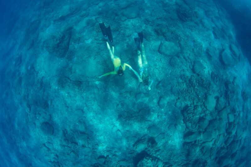 Kauai: Niihau and Na Pali Coast Full-Day Boat Tour - Who Will Enjoy This Tour?