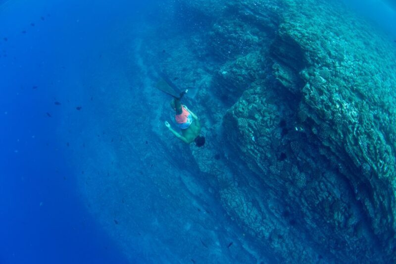 Kauai: Niihau and Na Pali Coast Full-Day Boat Tour - Final Thoughts: Is This Tour Worth It?
