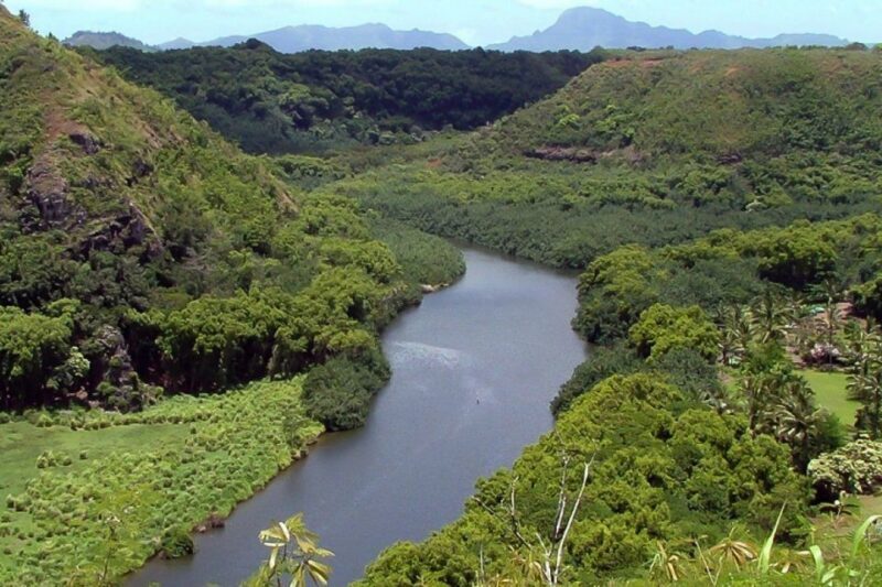 Kauai Northeast Tour, Fern Grotto River Cruise & Lighthouse - Introduction: An Excursion That Captures Kauai’s Spirit