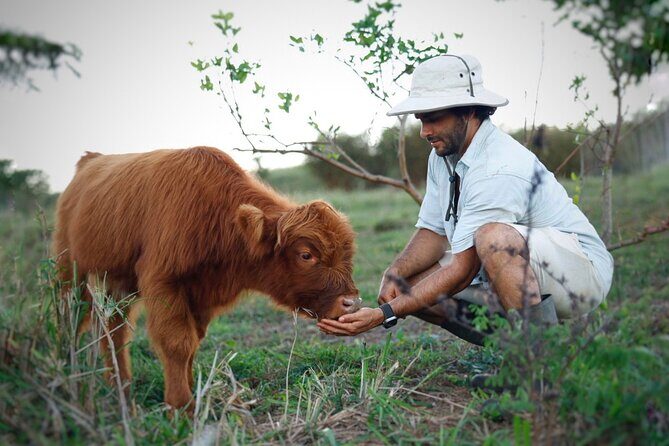 Kauai Private Baby Farm Animal Experience & Micro Dairy Immersion - Who Will Love This Experience?