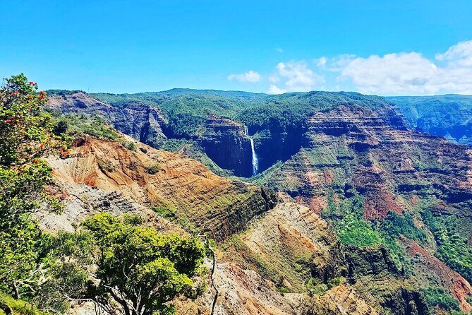 Kauai Private Guided Tour to Waimea Canyon from Nawiliwili - A Deep Dive into the Experience