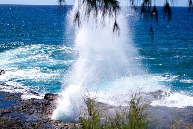 Kauai Private Shuttles - An In-Depth Look at Kauai Private Shuttles