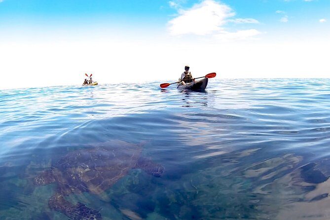 Kauai Sea Kayaking 10 mile tour - Na Pali Iki (Polihale to Milolii) - Key Points