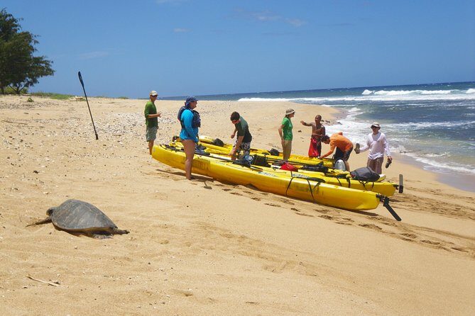 Kauai Sea Kayaking 10 mile tour - Na Pali Iki (Polihale to Milolii) - What Travelers Say