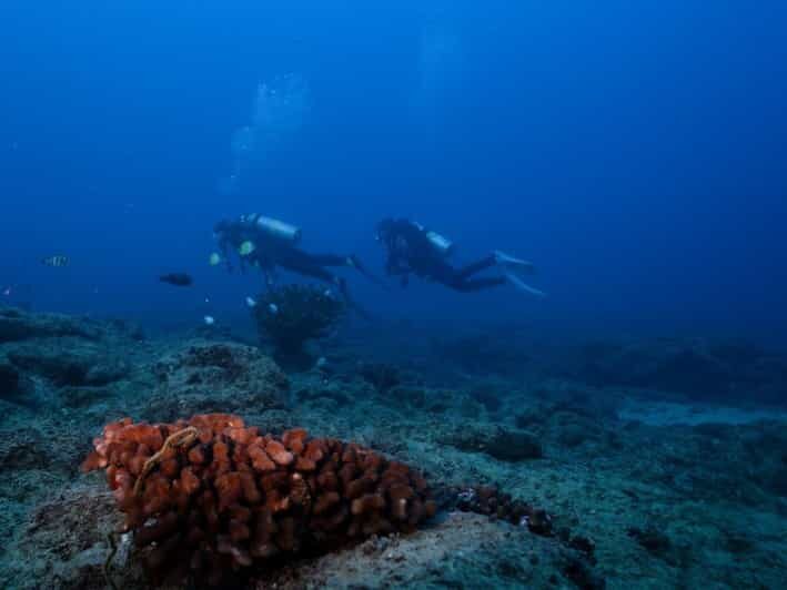 Kauai: Shore Diving at Koloa Landing, Poipu - Who Will Love This Tour?