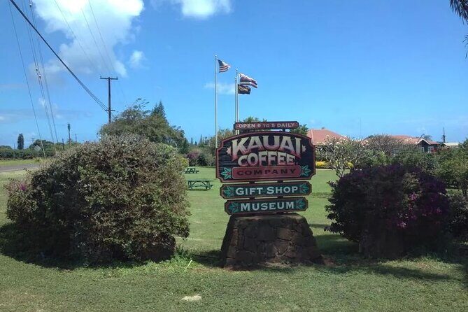 Kauai Shore Excursion - Waimea Canyon Adventure Tour - Nawiliwili - Who Would Enjoy This Tour?