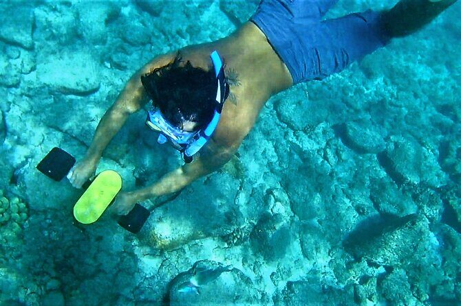 Kauai Snorkeling Adventure - The Value of a Self-Guided Snorkeling Experience