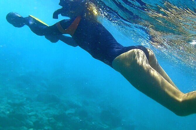 Kauai Snorkeling Adventure - Who Will Love This Experience?