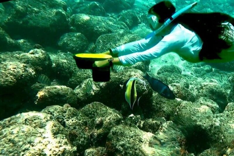 Kauai: Snorkeling Adventure with Sea Scooter - FAQ