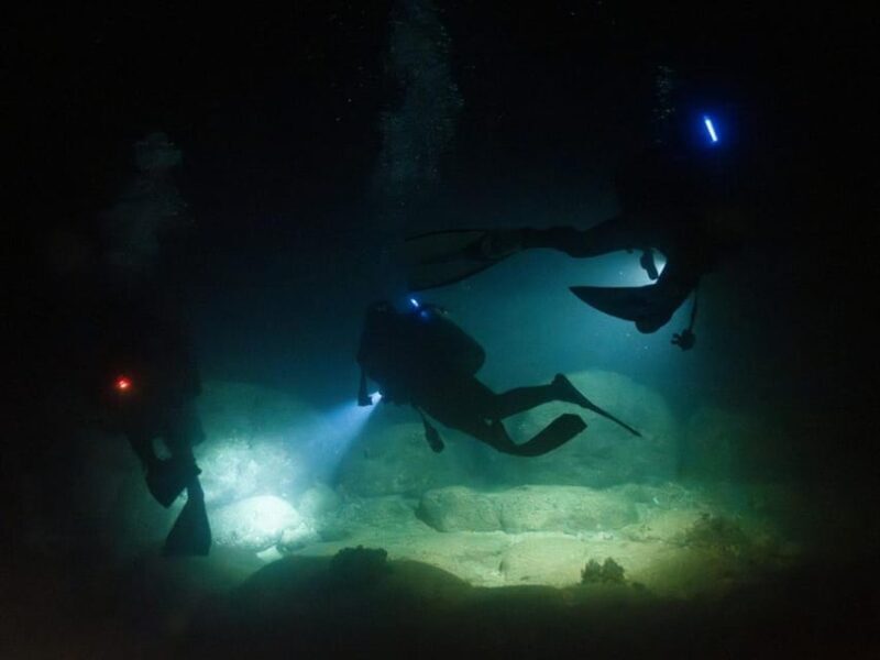 Kauai: Twilight/Night Shore Dive Experience - The Itinerary: What You Can Expect