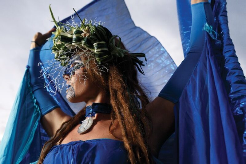 Kauai: VIP Manor House Dinner & Luau Kalamaku Show - The Sum Up: Who’s It Best For?