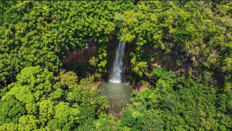 Kauai: Wailua River Kayak and Secret Falls Hike Tour - The Sum Up