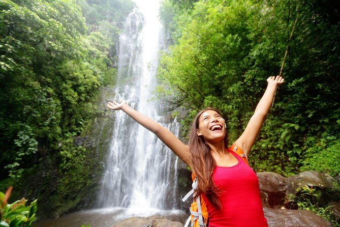 Kauai Wailua Valley & Waterfalls Audio Driving Tour - Who Should Consider This Tour?