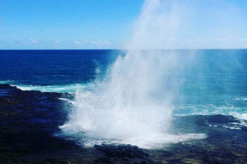 Kauai: Waimea Canyon and Waterfall Adventure Day Tour - Who Would Love This Tour?