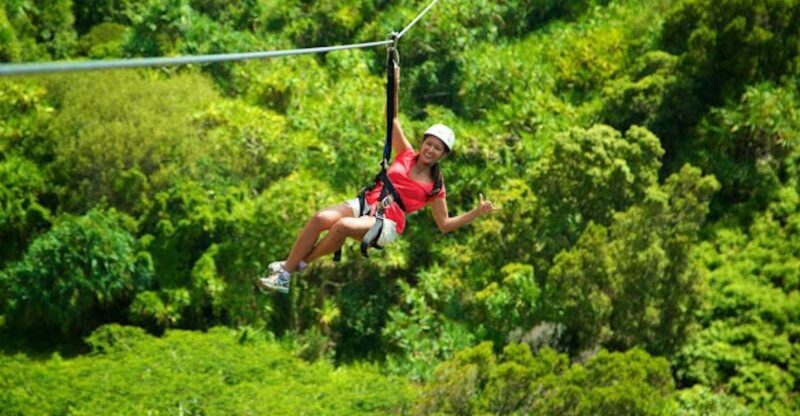 Kauai: Zipline Adventure - The Experiences That Make It Special