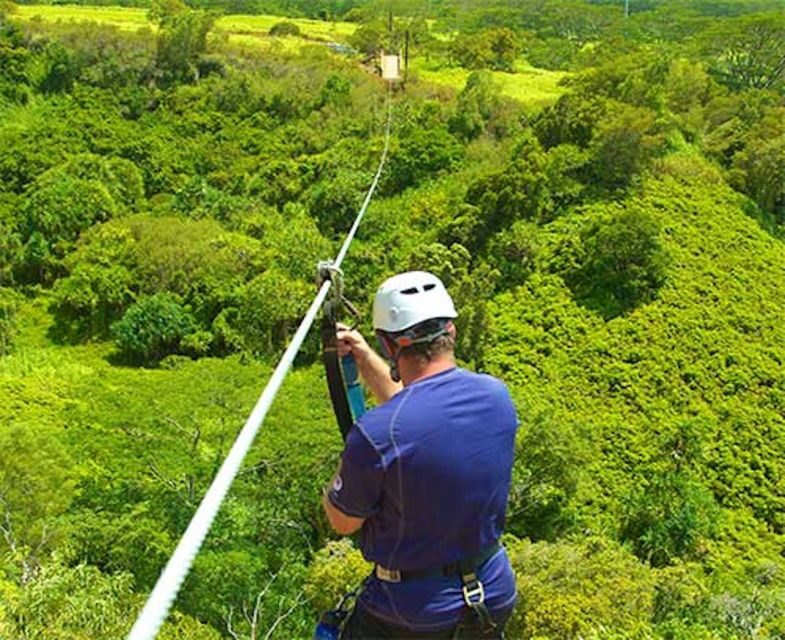 Kauai: Zipline Adventure - Pricing and Value