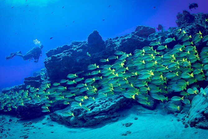 Kauai's Ultimate Boat 2 Tank Adventure Dive Certified Divers Only - FAQ