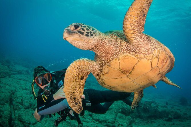 Kauai's Ultimate Discover Scuba Dive - OCEAN EXPERIENCE (1 Tank Dive) - A Closer Look at the Kauai Discover Scuba Experience