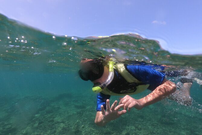 Kauai's Ultimate Guided Shore Snorkel (NO BOAT): North Anini - Discover Kauai’s Shore Snorkel at Anini Beach — An Understated Adventure