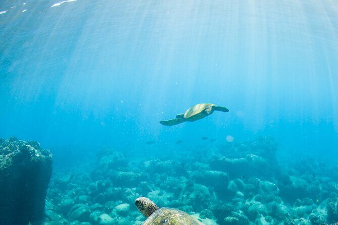 Kauai's Ultimate Guided Shore Snorkel (NO BOAT): North Anini - An Introduction to Kauai’s Shore Snorkeling at Anini Beach