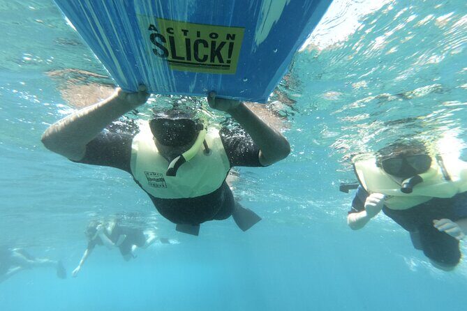 Kauai's Ultimate Guided Shore Snorkel (NO BOAT): North Anini - Why People Love This Experience