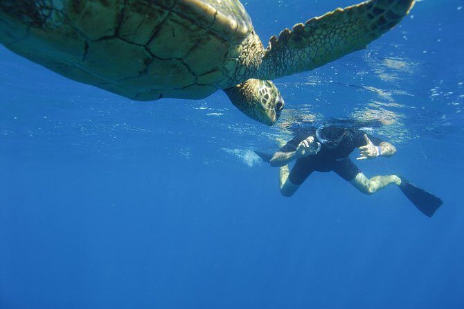 Kauai's Ultimate South Island Zodiac Boat Snorkel Adventure - FAQ