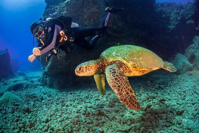 Kauai's Ultimate South Shore 2 Tank Dive (Certified Divers Only) - FAQs