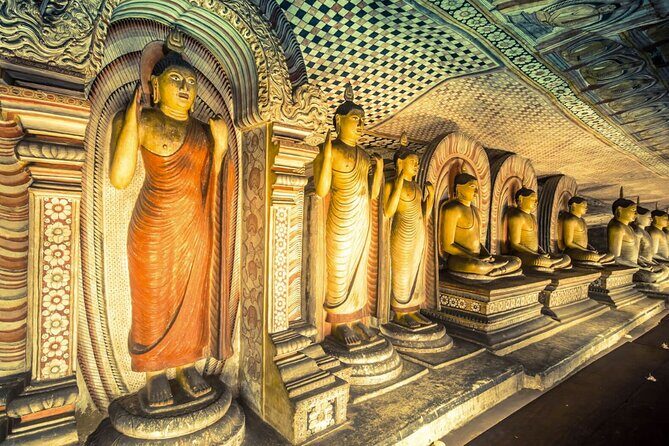 Kaudulla Jeep Safari & Dambulla Day Tour From Trincomalee - Stop 3: Ranweli Spice Garden — Aromatic Insights