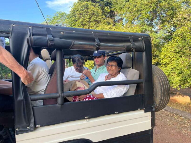 Kaudulla National Park: Elephant Safari Jeep Tour - Practicalities and Booking