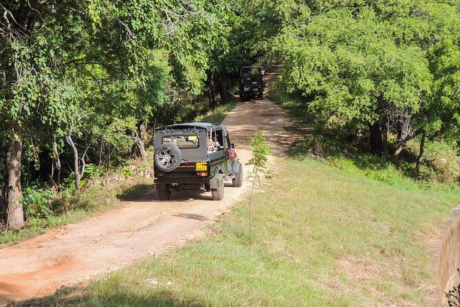 Kaudulla National Park Private Safari - FAQ Section