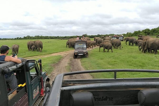 Kaudulla National Park Private Safari from Dambulla - FAQ